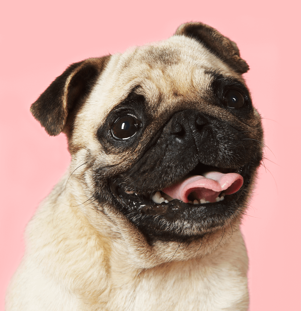 Pickit | Pricing & Plans